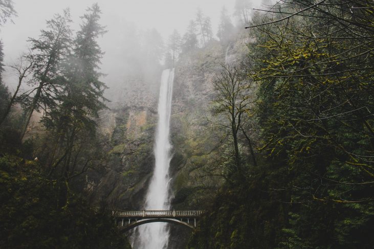 Mt. Hood Scenic Loop Day Trip - Discover Mt. Hood